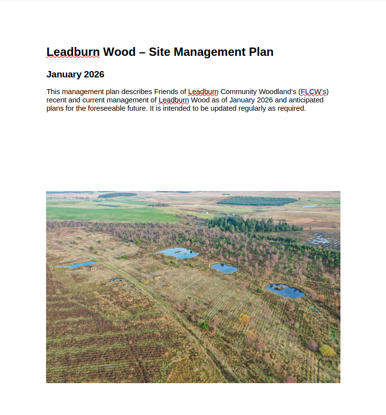 Woodland Management – LeadburnWood